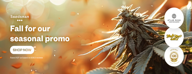 Seedsman Coupon Codes & Discounts | 30% Off Cannabis Seeds